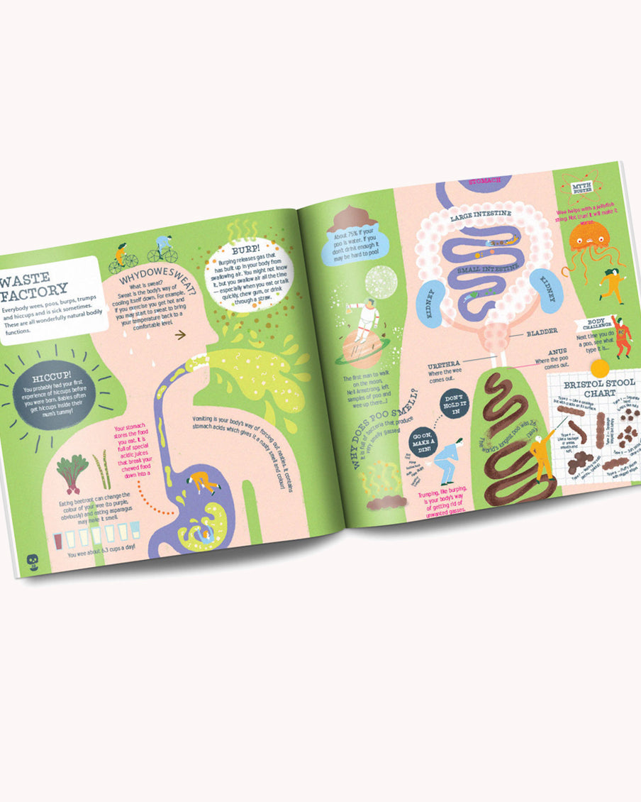 Body Detectives : Amazing facts, myths and quirks of the human body ...